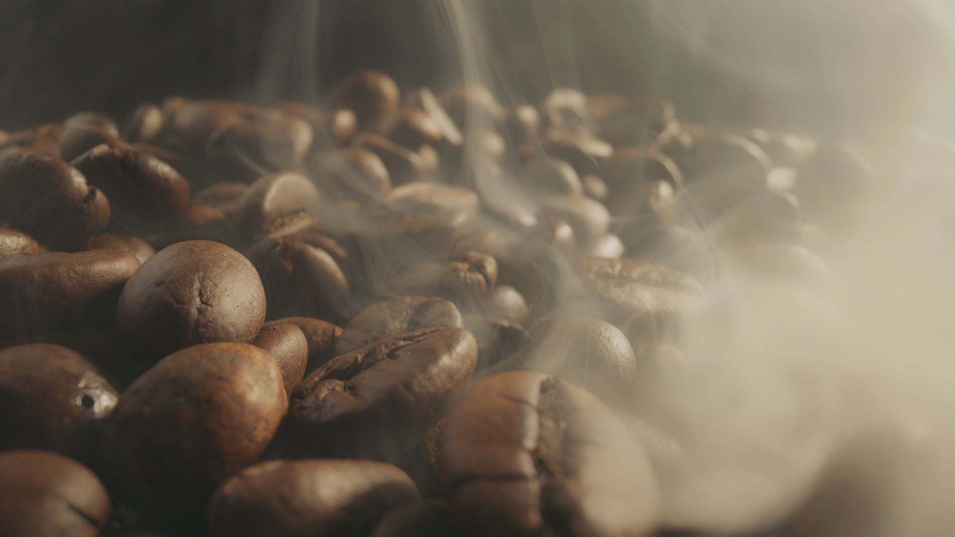 Sustainable Coffee: Brew Eco-Friendly with Every Sip – The Pawfect Brew